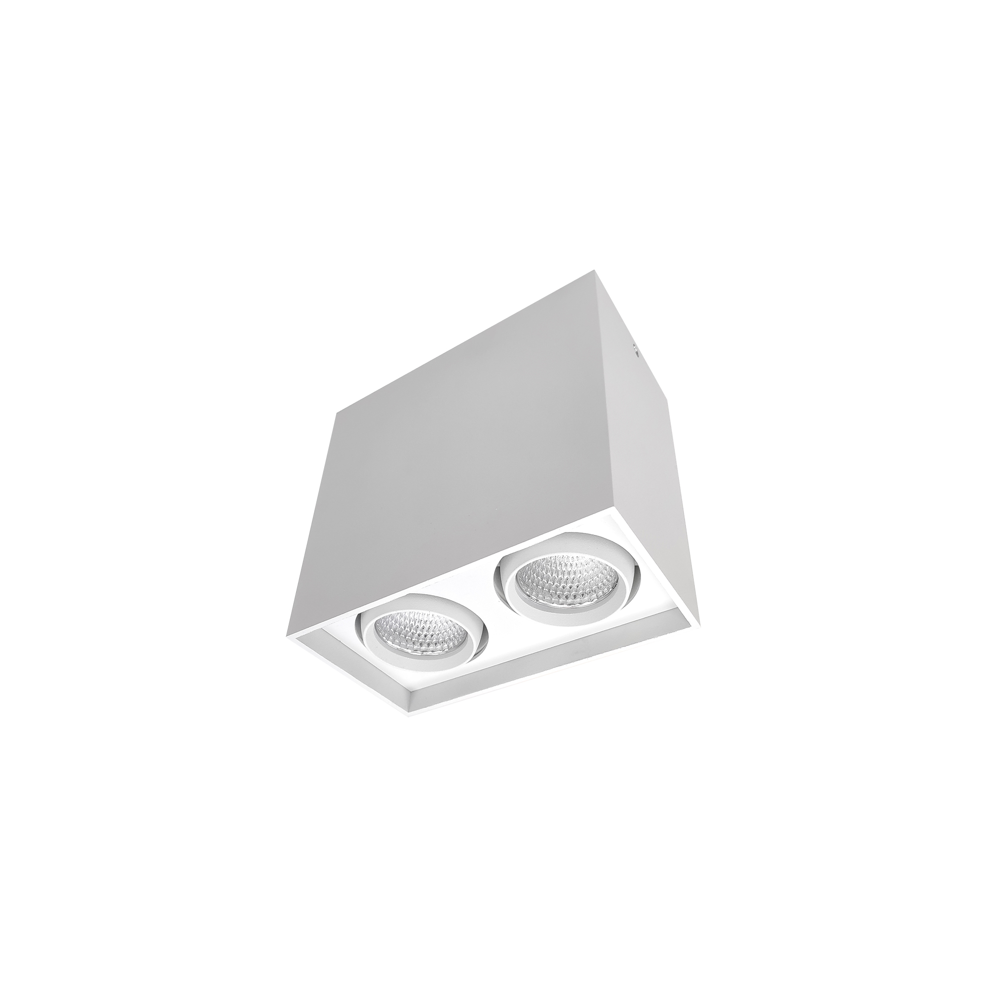 BRICK 2X SURFACE MOUNTED | EAE Lighting